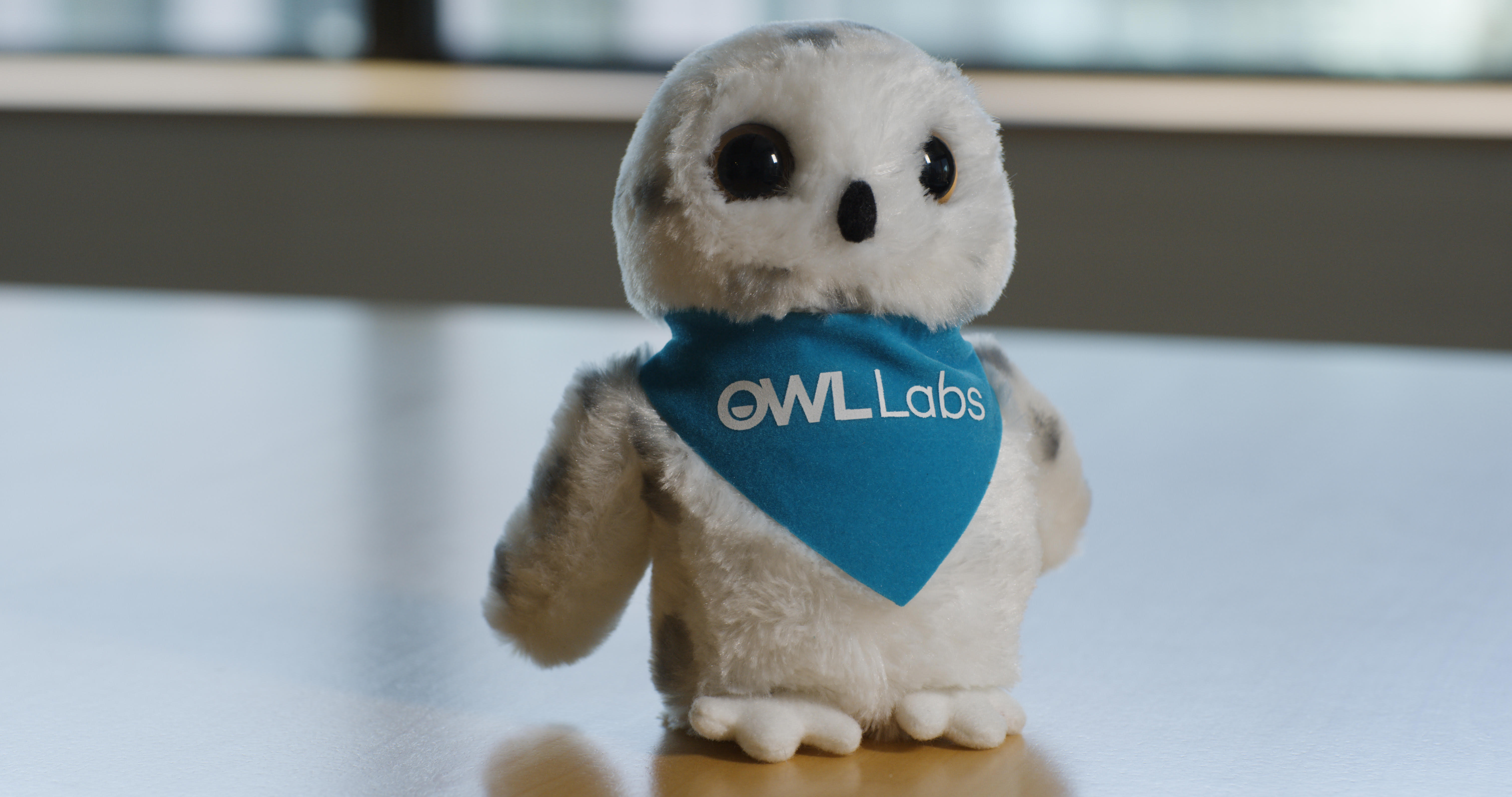 3 Ways the Meeting Owl Jr. Will Improve Your Children's Business Acumen